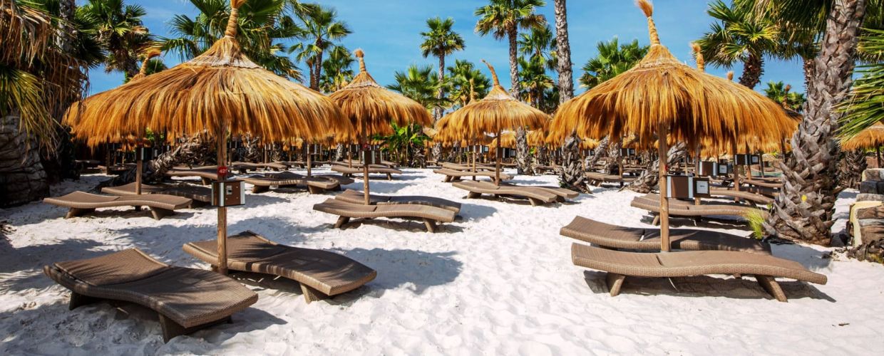 Caribe Bay | Things to Know