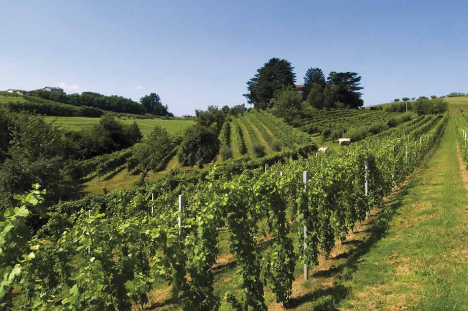 Veneto Geography | Venetoinside