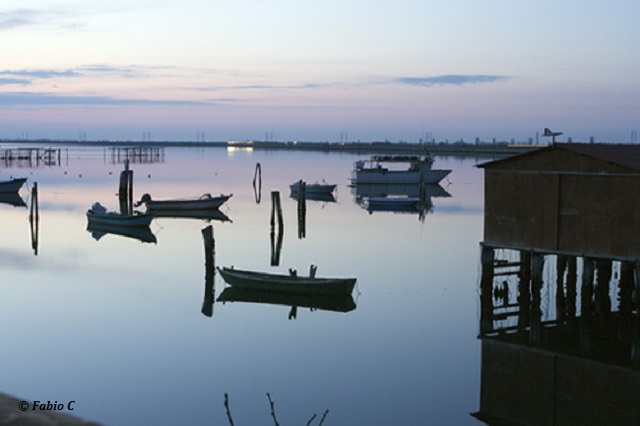 Parco Delta del Po Veneto | Itinerari Turistici Rovigo