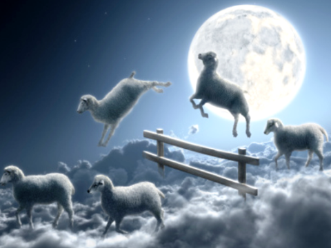 Why do we count sheep to fall asleep | Vicenza