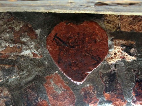 Mermaid Melusina and the Stone Heart | Venice Myths