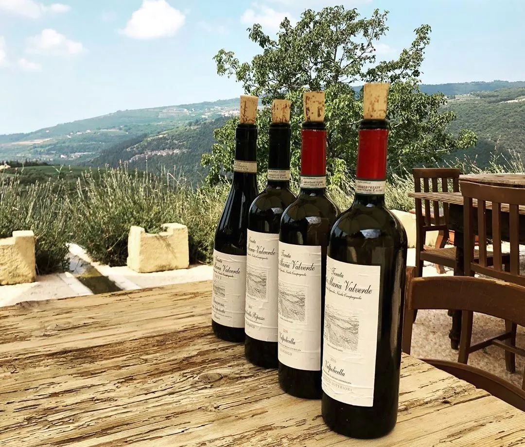 Valpolicella Ripasso Wine Amarone Tour with Wine Tasting