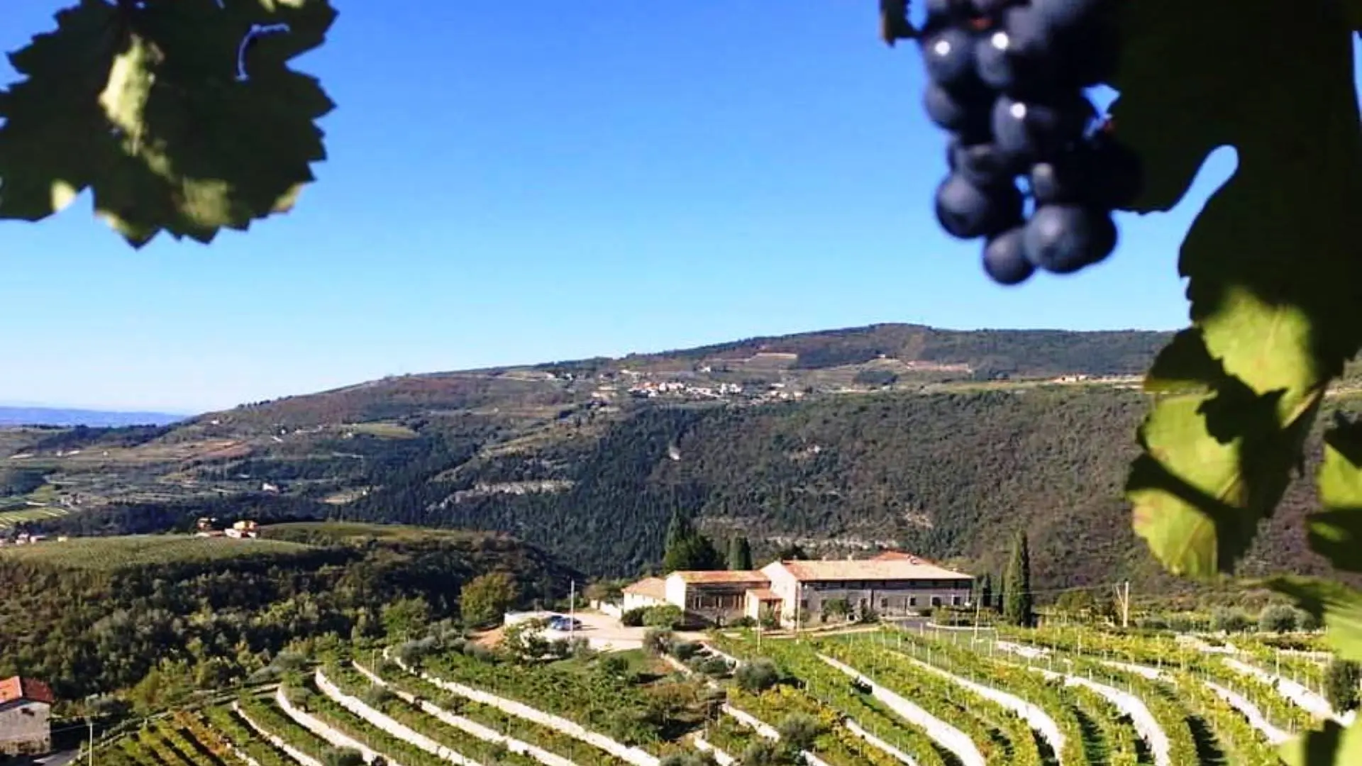 Valpolicella Ripasso Wine Amarone Tour with Wine Tasting