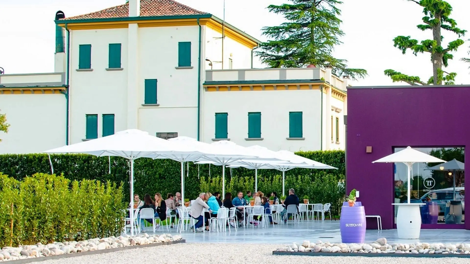 Sutto Wine: degustazione vini vicino a McArthurGlen Outlet Noventa