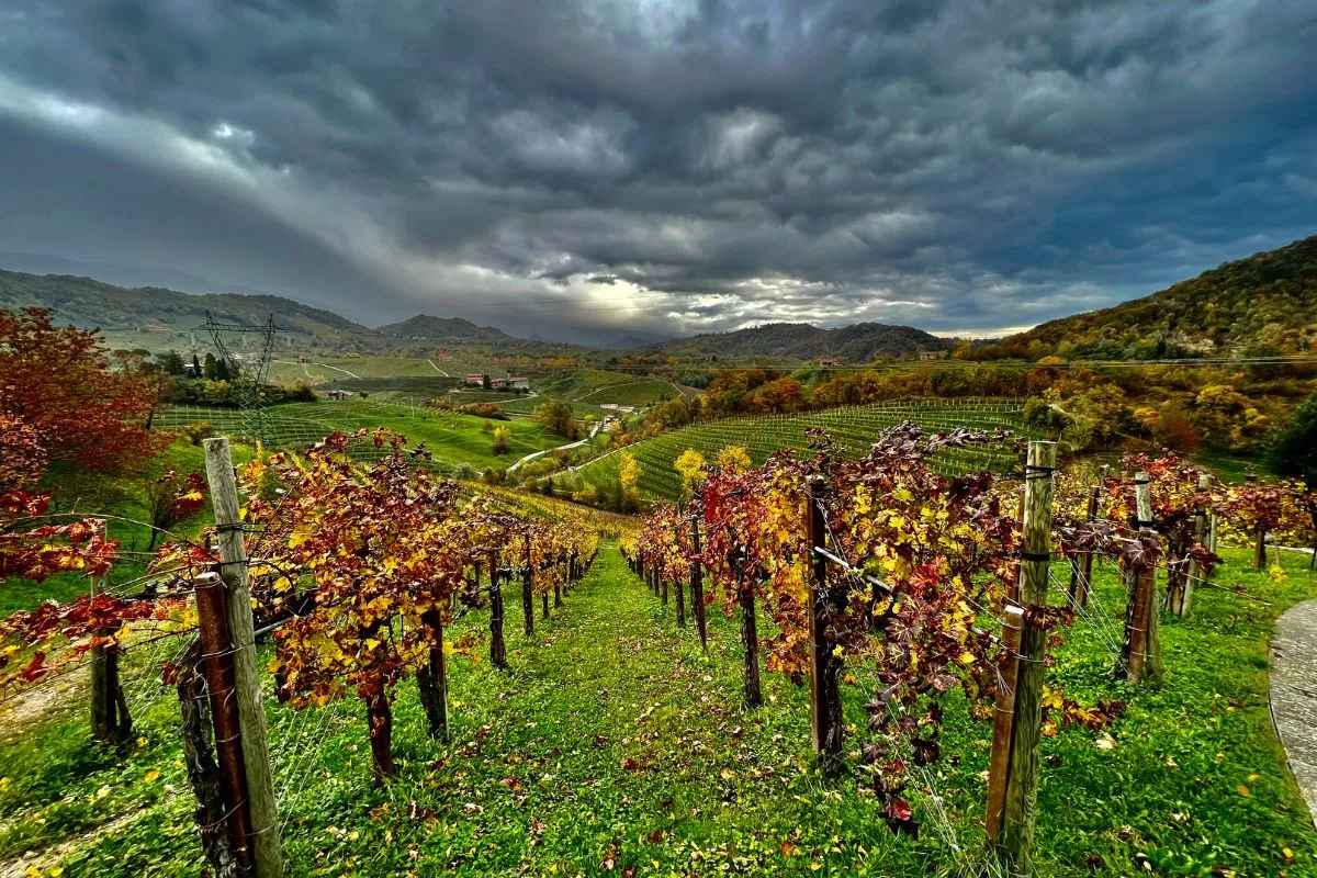 Cantina Vigne Matte | Degustazione Prosecco e visita guidata | Colline del Prosecco